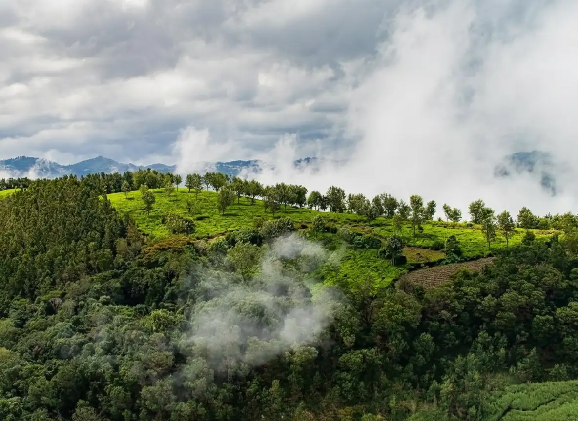 Bangalore Mysore Coorg Ooty Tour 9 Days – Chal Banjare