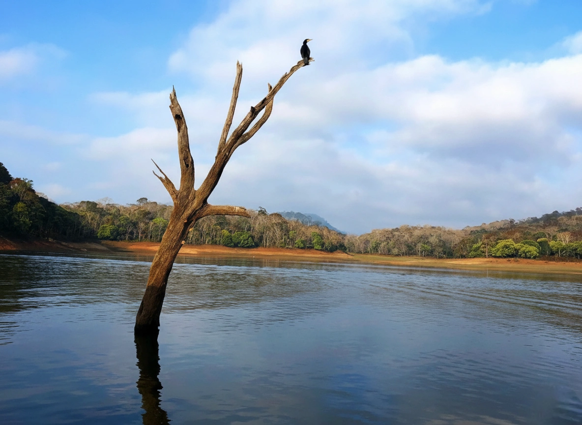 Kerala Tour Cochin Munnar Thekkady Alleppey Varkala 8 Days