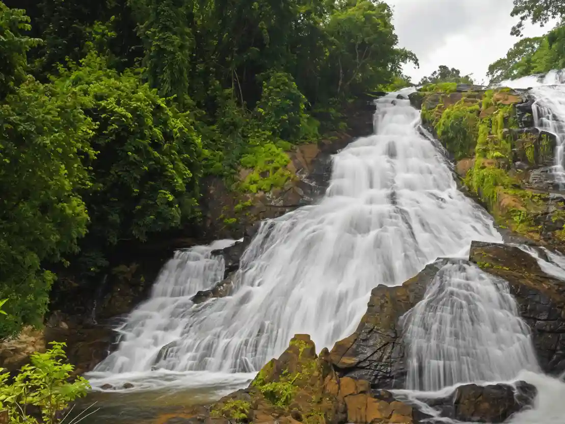 Charpa Waterfalls Athirappilly 2026 Guide | Roadside Monsoon Falls ...