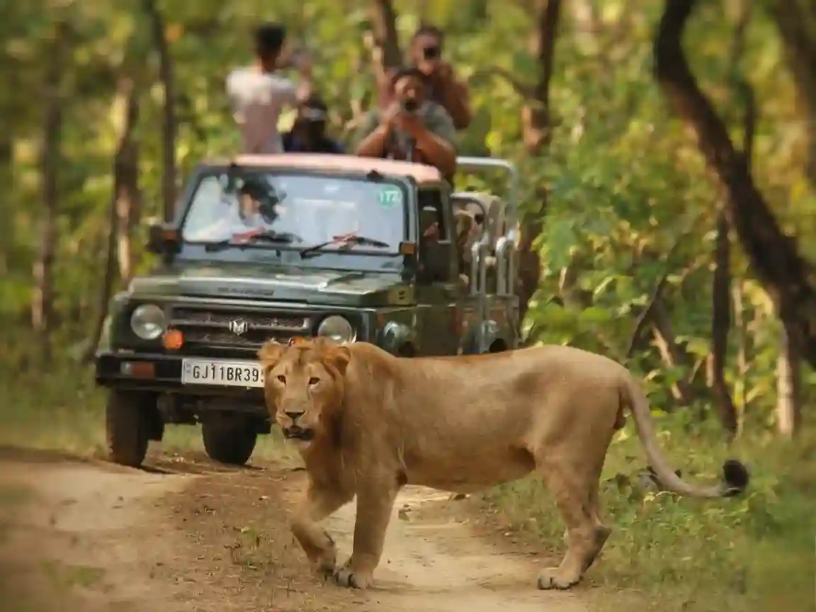 Devalia Safari Park – Gir Interpretation Zone Safari Guide 2026