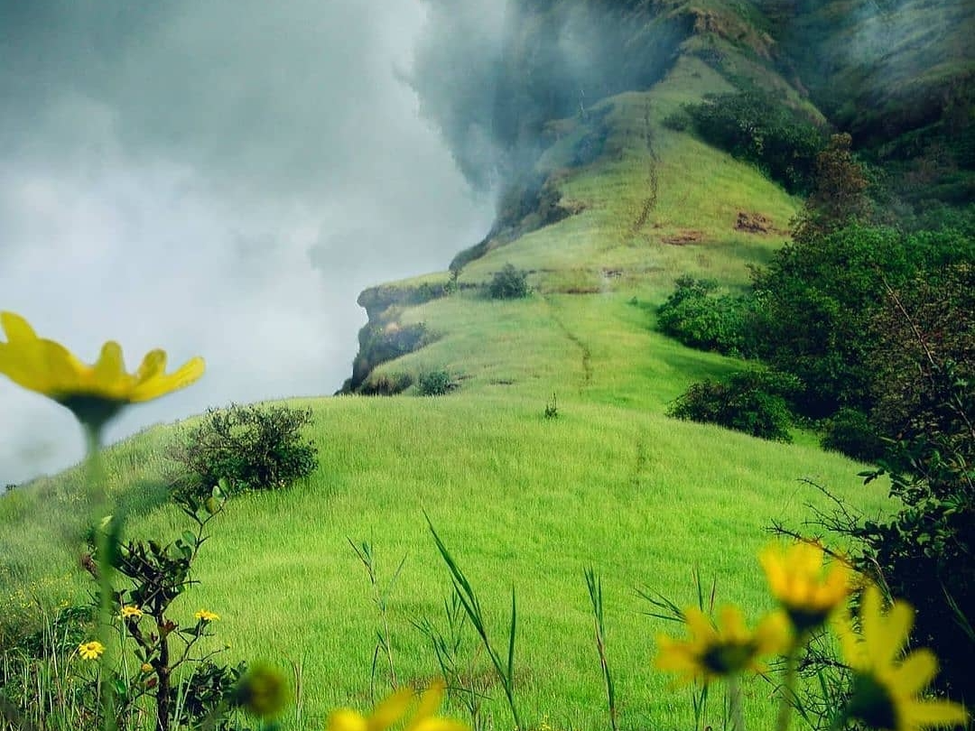 Duke’s Nose Trail (Nagphani) 2026 Guide | Trek Route, Timings, Entry ...