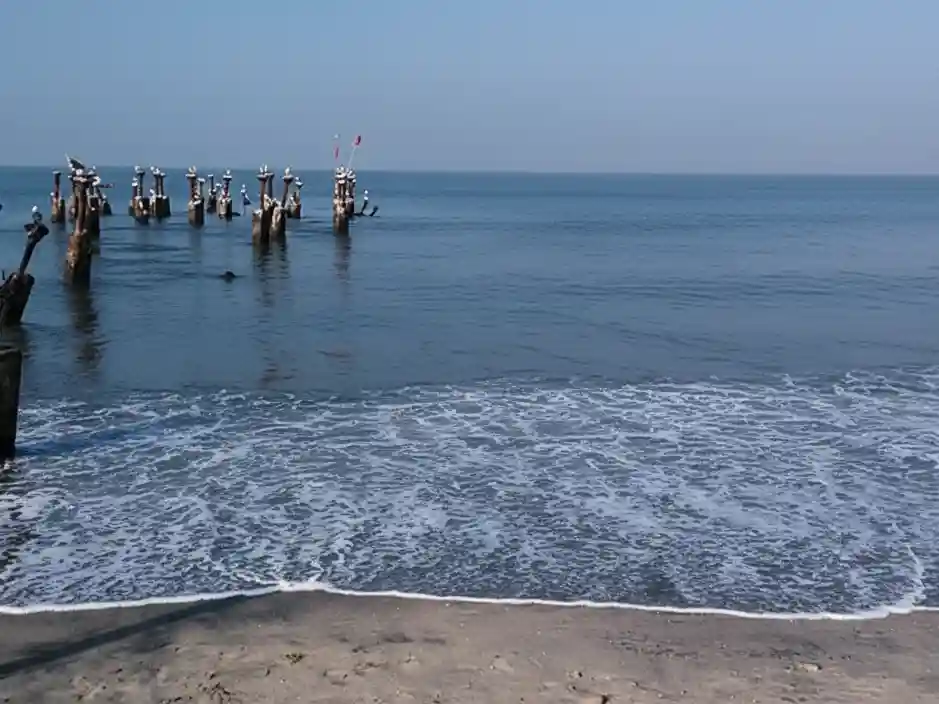 Kozhikode Beach 2026 Guide | Timings, Entry Tickets, Best Time, Street ...