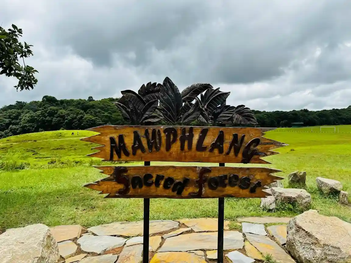 Mawphlang Sacred Forest Visit 2026 | Meghalaya Nature & Culture Experience