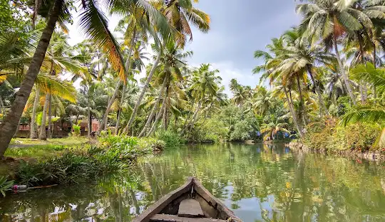 Munroe Island Kollam 2026 Guide | Backwater Canoe Tours, Best Time, How ...