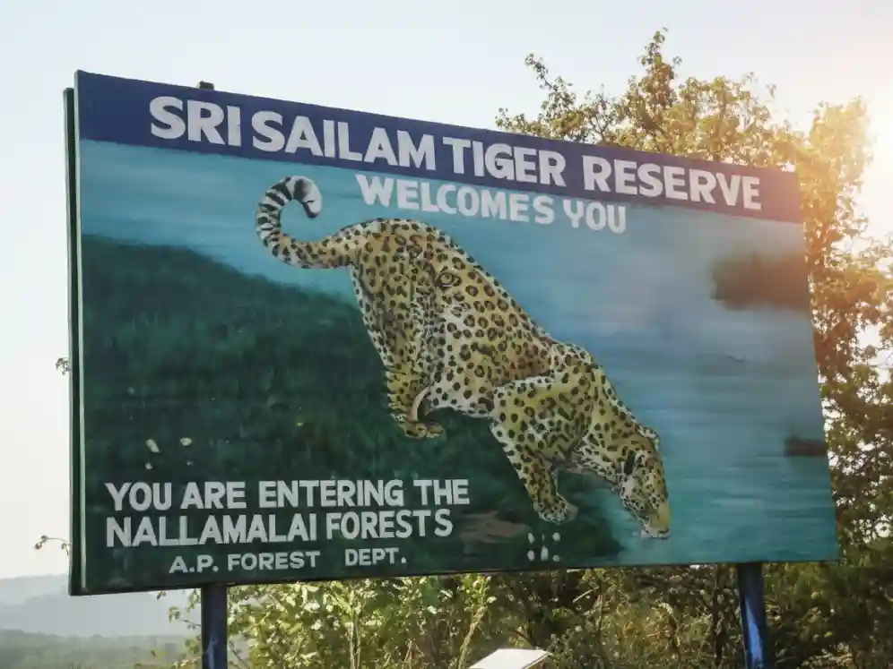Nagarjuna Srisailam Tiger Reserve – India’s Largest Tiger Sanctuary in ...